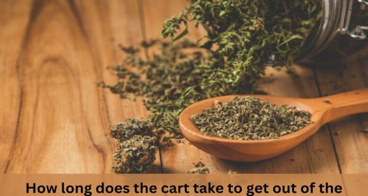 Understanding How Long Does It Take For THC Cart To Get Out Of System ...